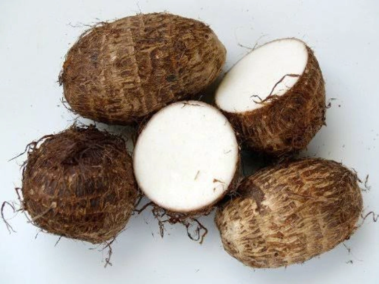 சேப்பங்கிழங்கு / Seepan Kilangu