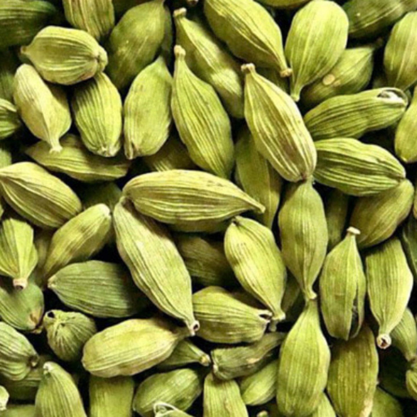 Elaichi (এলাচ)