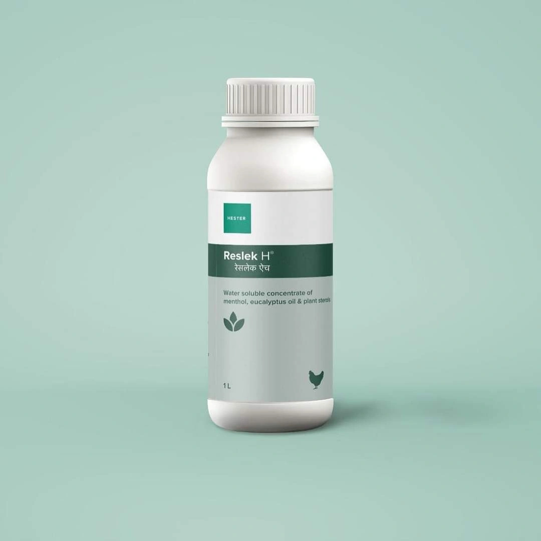 Reslek H - Water soluble concentrate rich in Menthol, Eucalyptus Oil ...