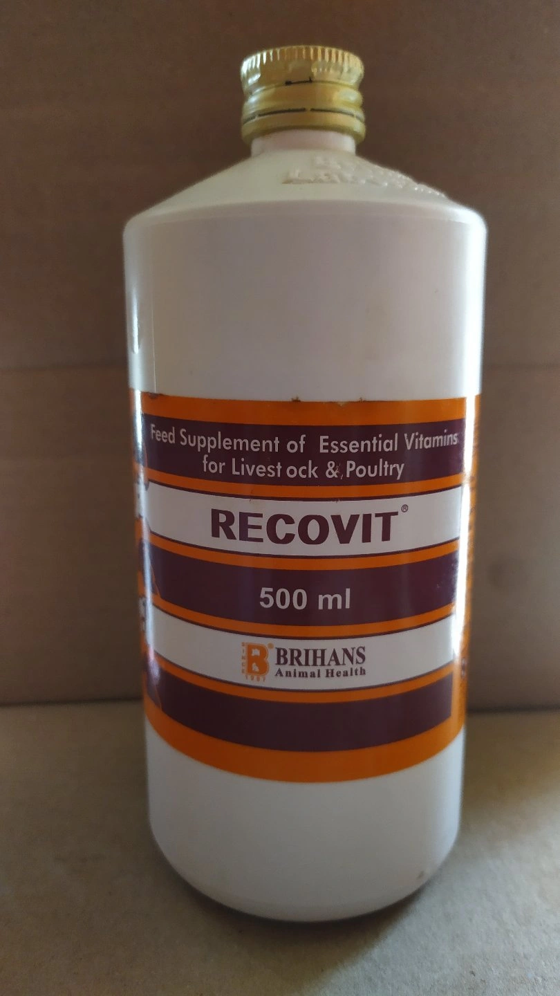 Recovit - Feed Supplement of Essential Vitamin for Livestock & Poultry ...