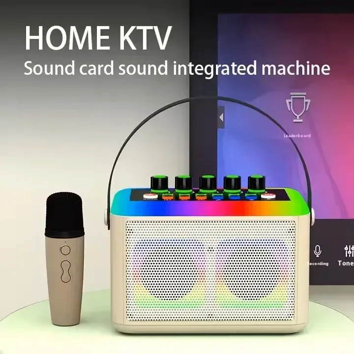 Portable Music Box Karaoke System – Bluetooth Speaker with Wireless ...