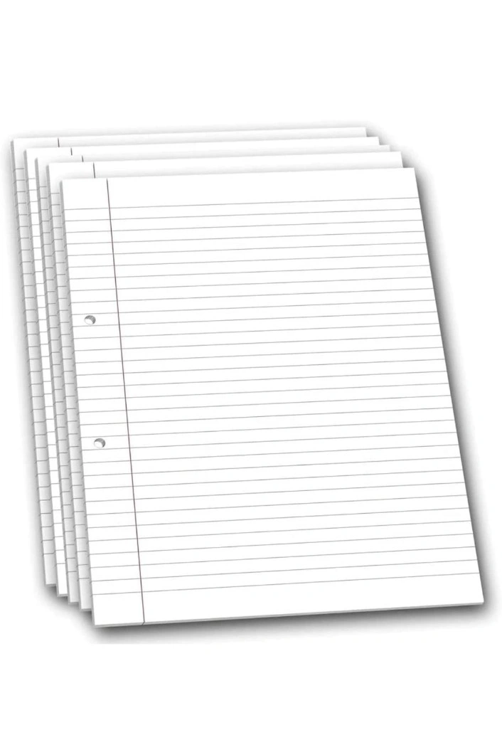 A4 Project File Paper One Side Line