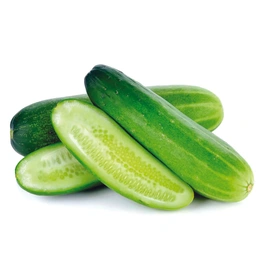 Buy Premium Desi Cucumber Seeds – High Germination & Best Quality ...