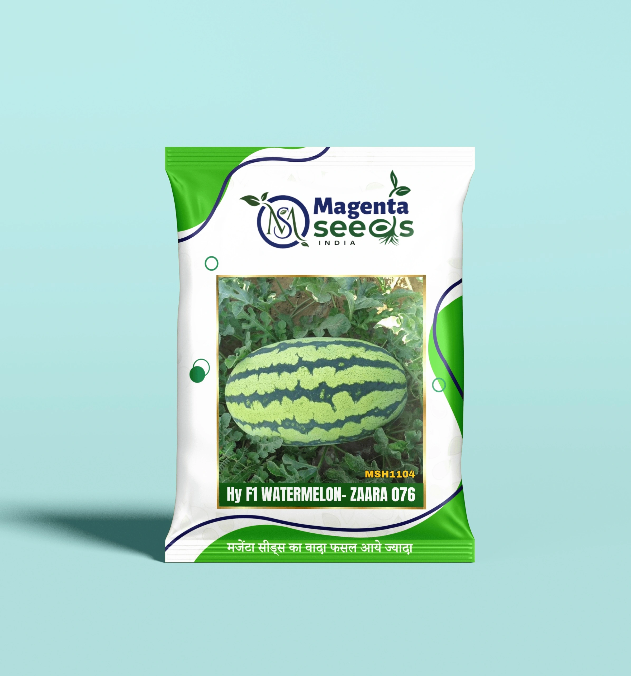 ZAARA-076- Hybrid Watermelon Seeds -Magenta Seeds