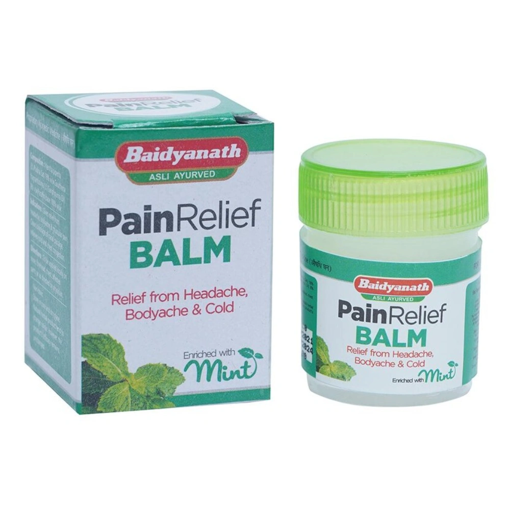 Baidyanath Jhansi Pain Relief Balm (10g) - Effective Relief from ...