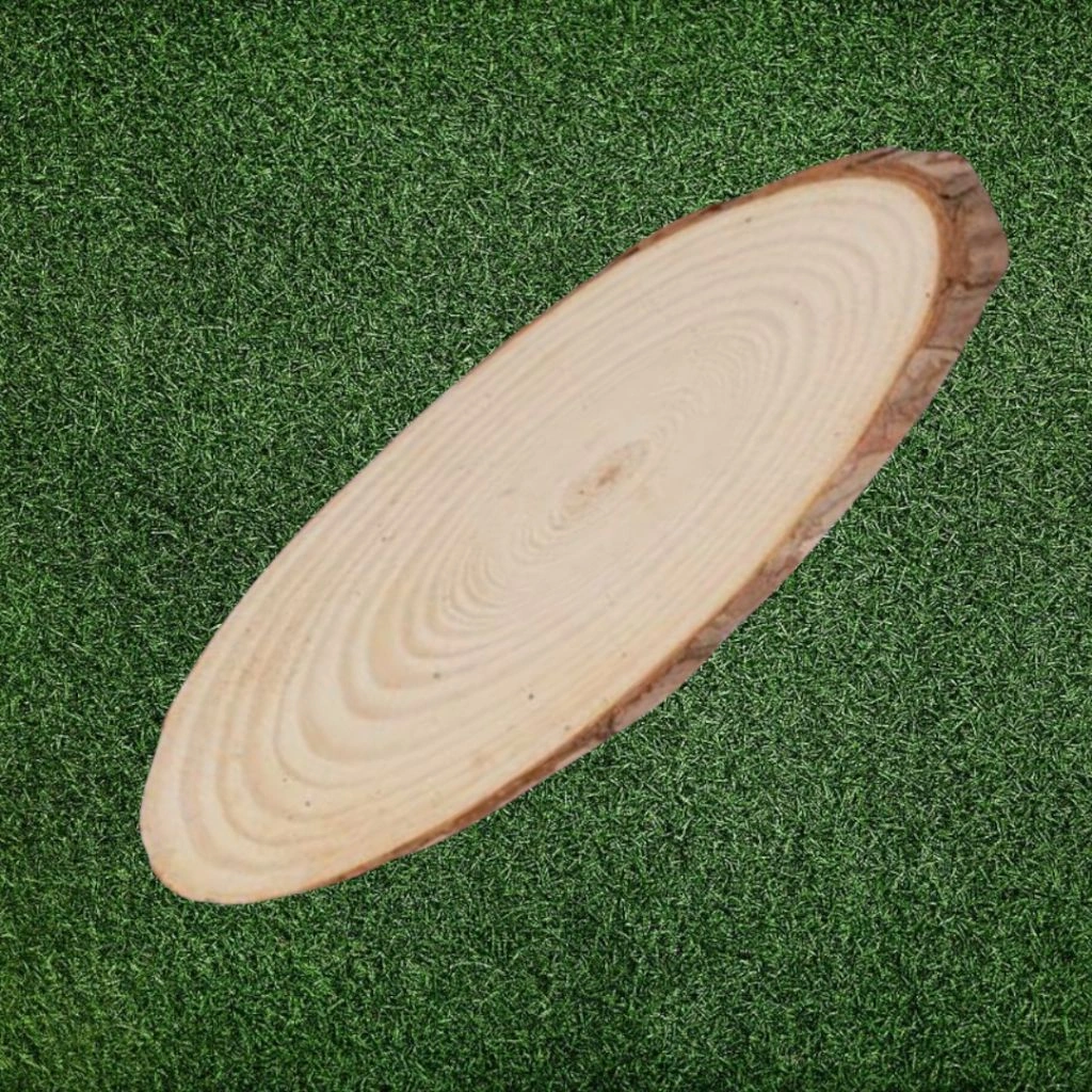 Wooden Slice Ovel Shape 12 X 30 cm
