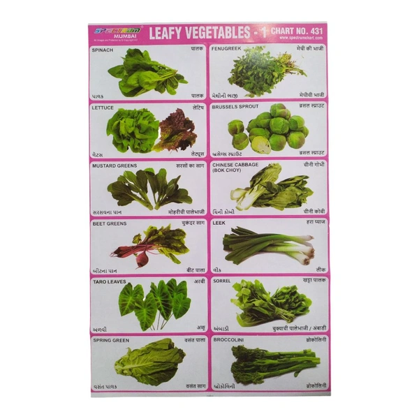 Indian Green Vegetables Names Indian Recipes Using American Vegetables