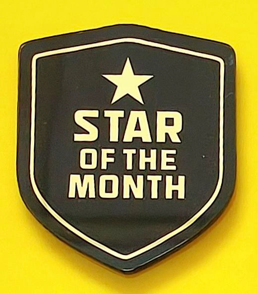 Buy Online Student Office Badges Star of The Month Badges Delhi-NCR