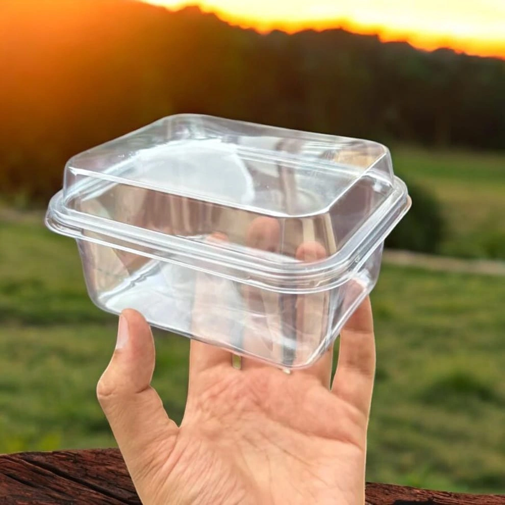 The Baking Curv Rectangle Tiramisu Plastic Container| Sturdy | Sleek