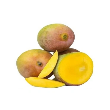 Lalbaug Mango