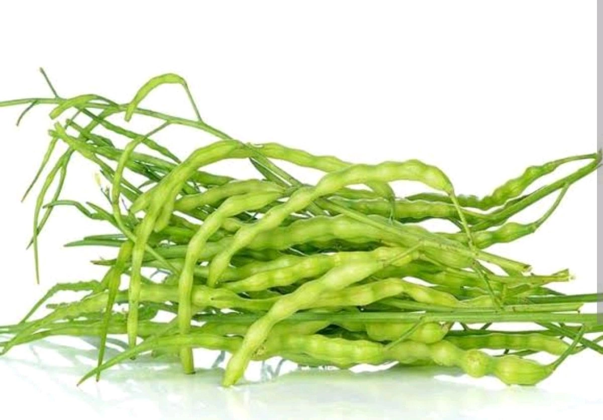 Buy Fresh Mogri Beans (Green Radish Pods) Online – Organic & Healthy