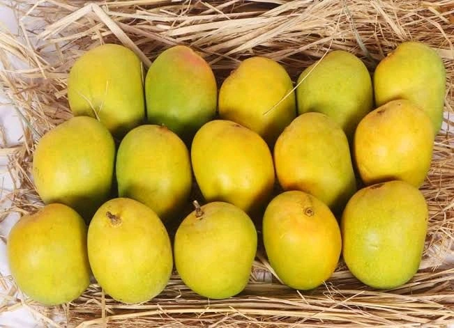 Alphonso Mango - Hapus Amba - Aam (Economic Grade) 🥭